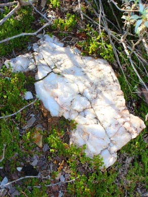 Cave Creek, Arizona's Quartz Hiking Trail: A Geologic Wonderland