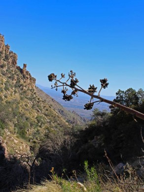 Tucson's Ventana Canyon Hiking Trail: Soaring Window Views