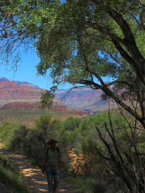Grand Canyon's Plateau Point Hiking Trail: Grandeur defined!