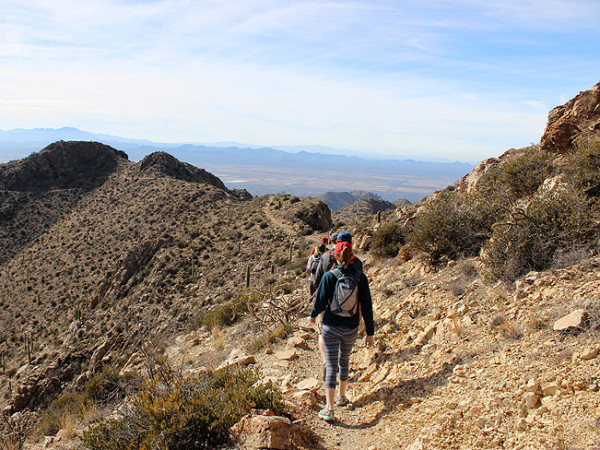 King Canyon Hiking Trail -Wasson Peak, AZ: Reigning Views