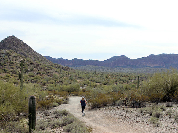 San Tan Hiking Trail Loop, AZ: Spectacular Views. No Climbs!