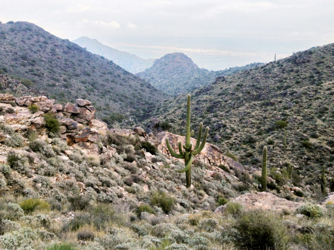 W Phoenix Goat Camp Trail mixes easy & hard sections & awesome views