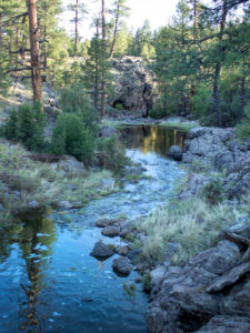 Sycamore Rim Hiking Trail: 70' seasonal falls, lily pad filled ponds ...