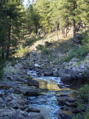 Sycamore Rim Hiking Trail: 70' seasonal falls, lily pad filled ponds ...