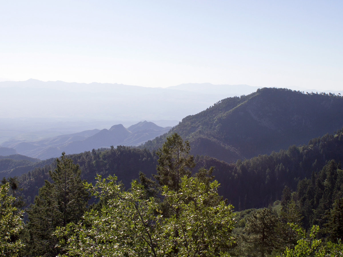 Tucson, AZ's Butterfly Hiking Trail: A cool mtn. escape from the desert ...