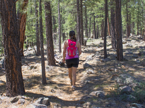 Sycamore Rim Hiking Trail: 70' seasonal falls, lily pad filled ponds ...