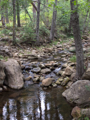 See Spring Trail: Payson, AZ's family-friendly hike to creek & springs