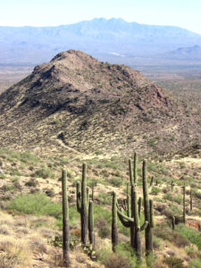 Bell Pass Hiking Trail | AZUtopia