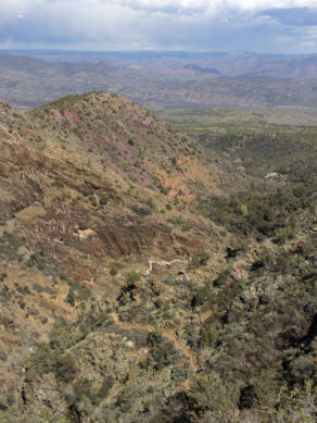 Catch Spring Waterfalls on Payson's Barnhardt Hiking Trail | AZ Utopia