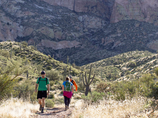 Picketpost Mountain Hiking Trail - AZ Utopia