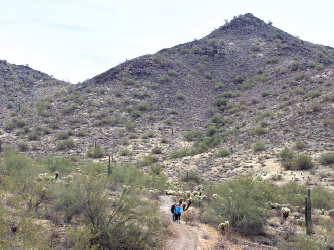 Dixie Mountain Hiking Trail: Rolling hills & fun features in Phoenix ...