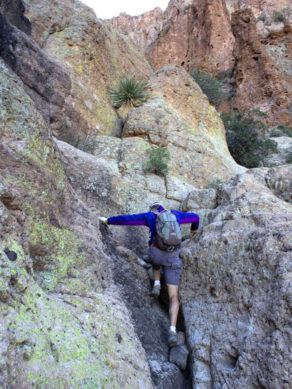 Picketpost Mountain Hiking Trail - AZ Utopia
