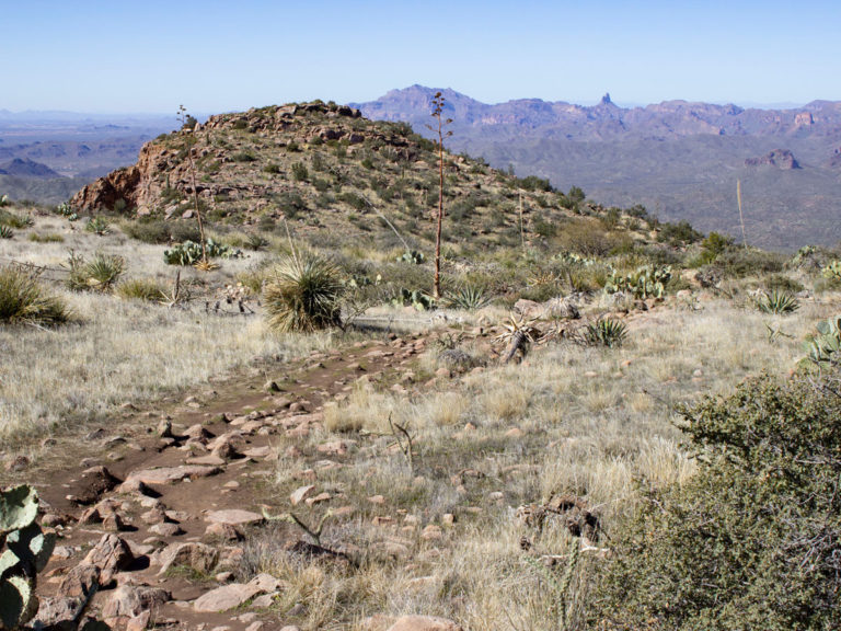 Picketpost Mountain Hiking Trail - AZ Utopia