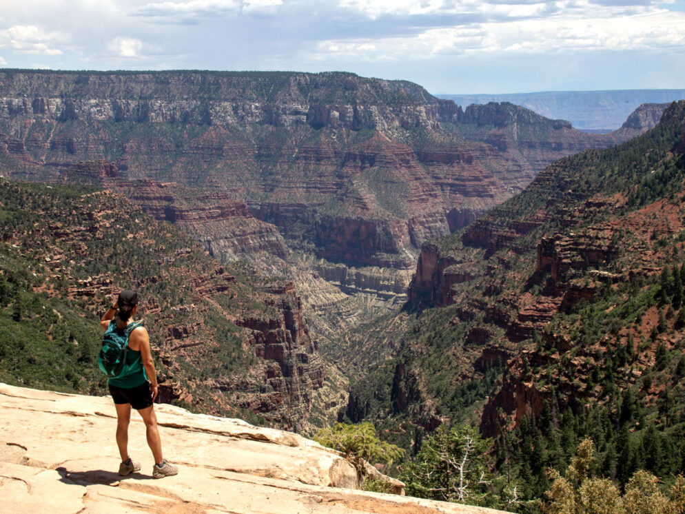 North Kaibab Trail, Grand Canyon AZ: Stunning day hike to Roaring Spring