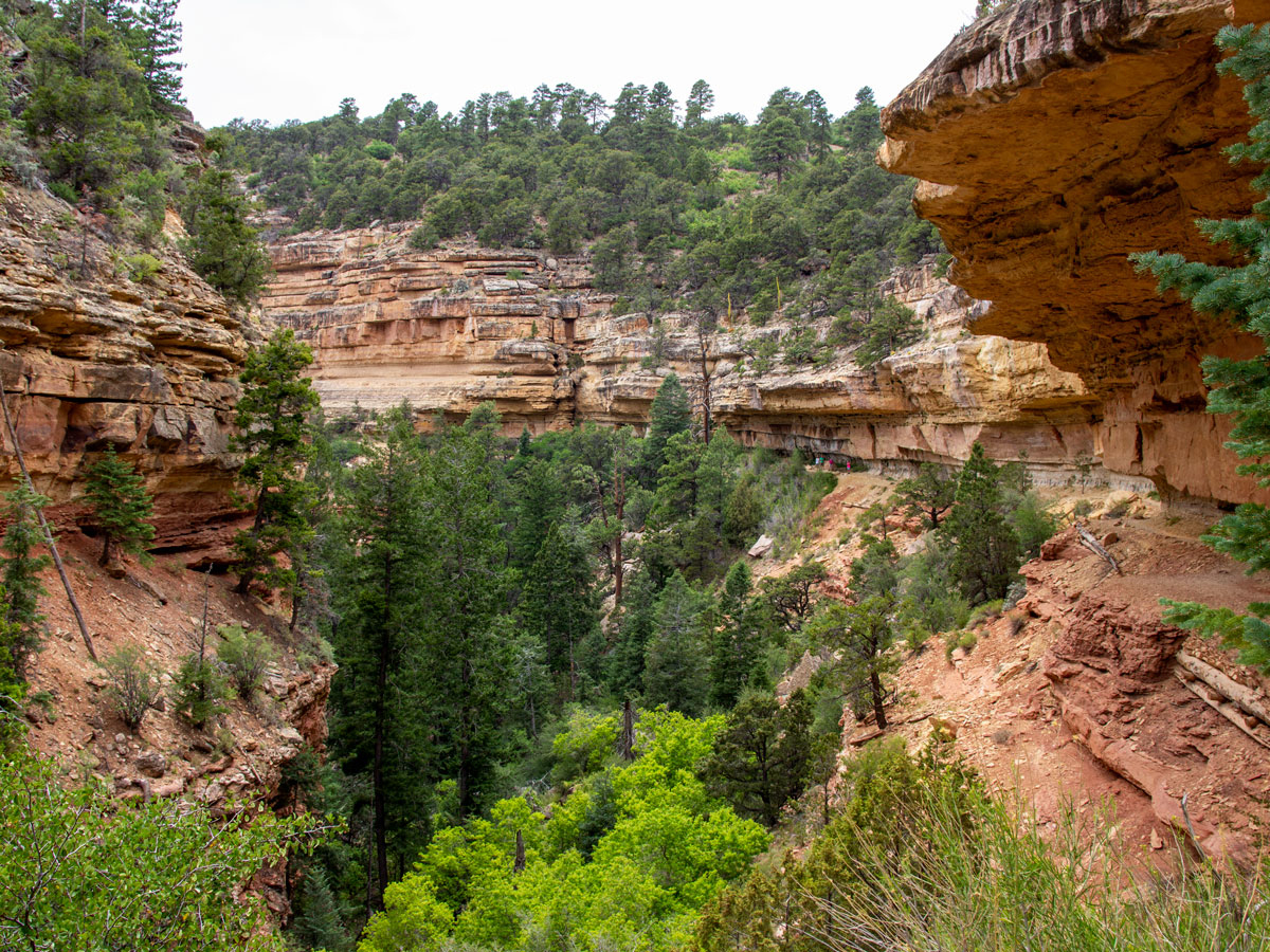 Cliff Spring Hiking Trail: Natural Treasures on the Grand Canyon's N. Rim
