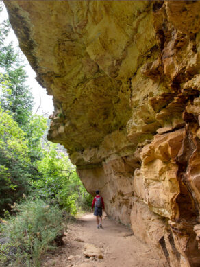 Cliff Spring Hiking Trail: Natural Treasures on the Grand Canyon's N. Rim