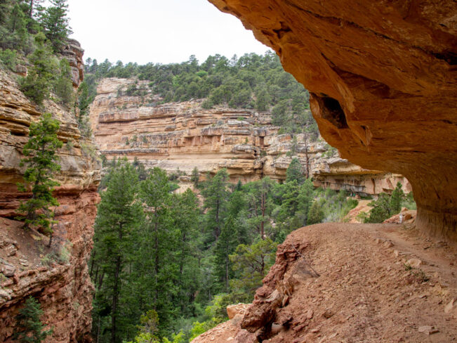 Cliff Spring Hiking Trail: Natural Treasures on the Grand Canyon's N. Rim